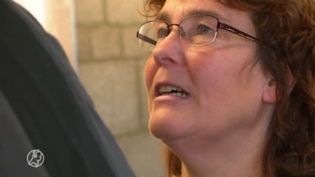 Gemist: Hart van Nederland - Late Editie: Nabestaanden doodgereden