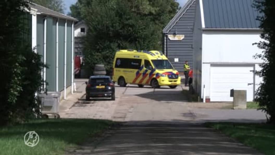 Gemist: Hart van Nederland - Late Editie: Oudere man raakt ernstig