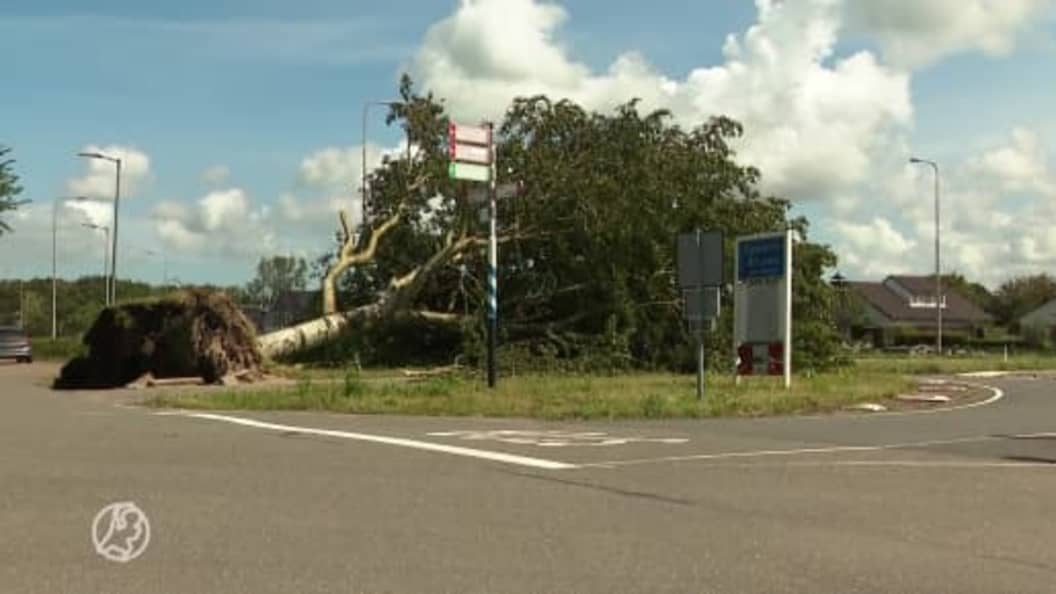 Gemist: Hart van Nederland - Late Editie: Day after storm Poly schade