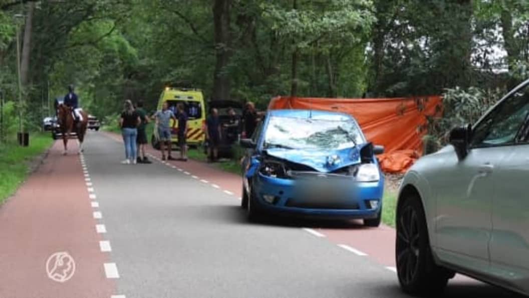 Gemist: Hart van Nederland - Late Editie: Paard ontsnapt van manege