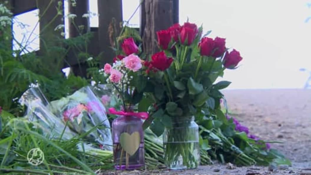 Gemist: Hart van Nederland - Late Editie: Verdachte schietpartij