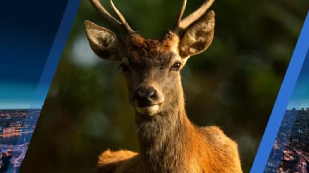 Hart van Nederland - Late Editie gemist? Kijk het hier.