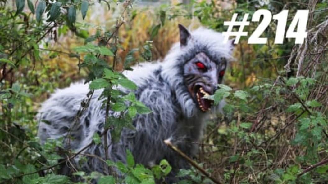 #Opdracht: Vreemd Dier in Dierentuin gemist? Kijk het hier.