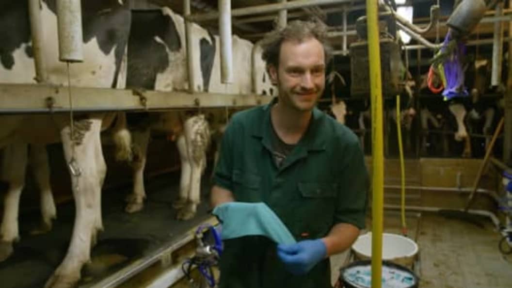 Gemist: De Boer Op: Eerste eigen melk voor Mike en Linde!